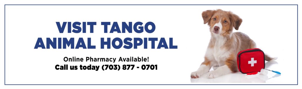 Tango Animal Hospital - Schedule Your Appointment Today!
