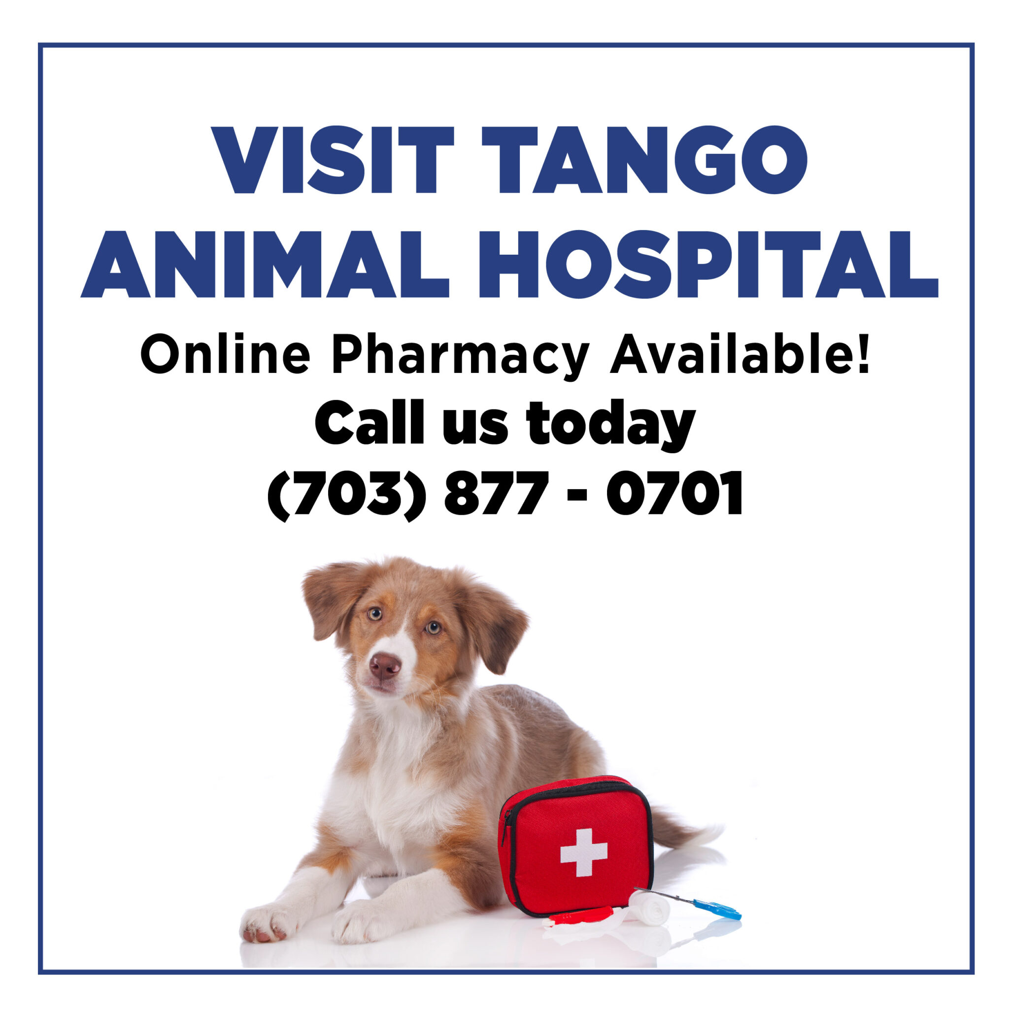 Tango Animal Hospital - Schedule Your Appointment Today!